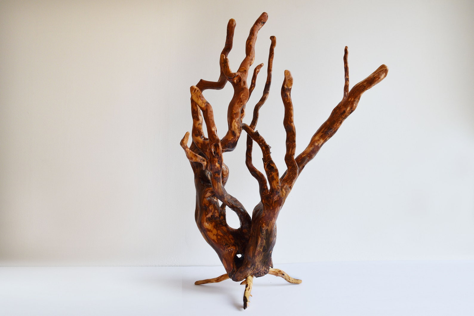 Tree Root Sculpture Wood Sculpture Unique Root Decoration Rustic Wood ...