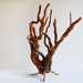 Tree Root Sculpture Wood Sculpture Unique Root Decoration Rustic Wood ...