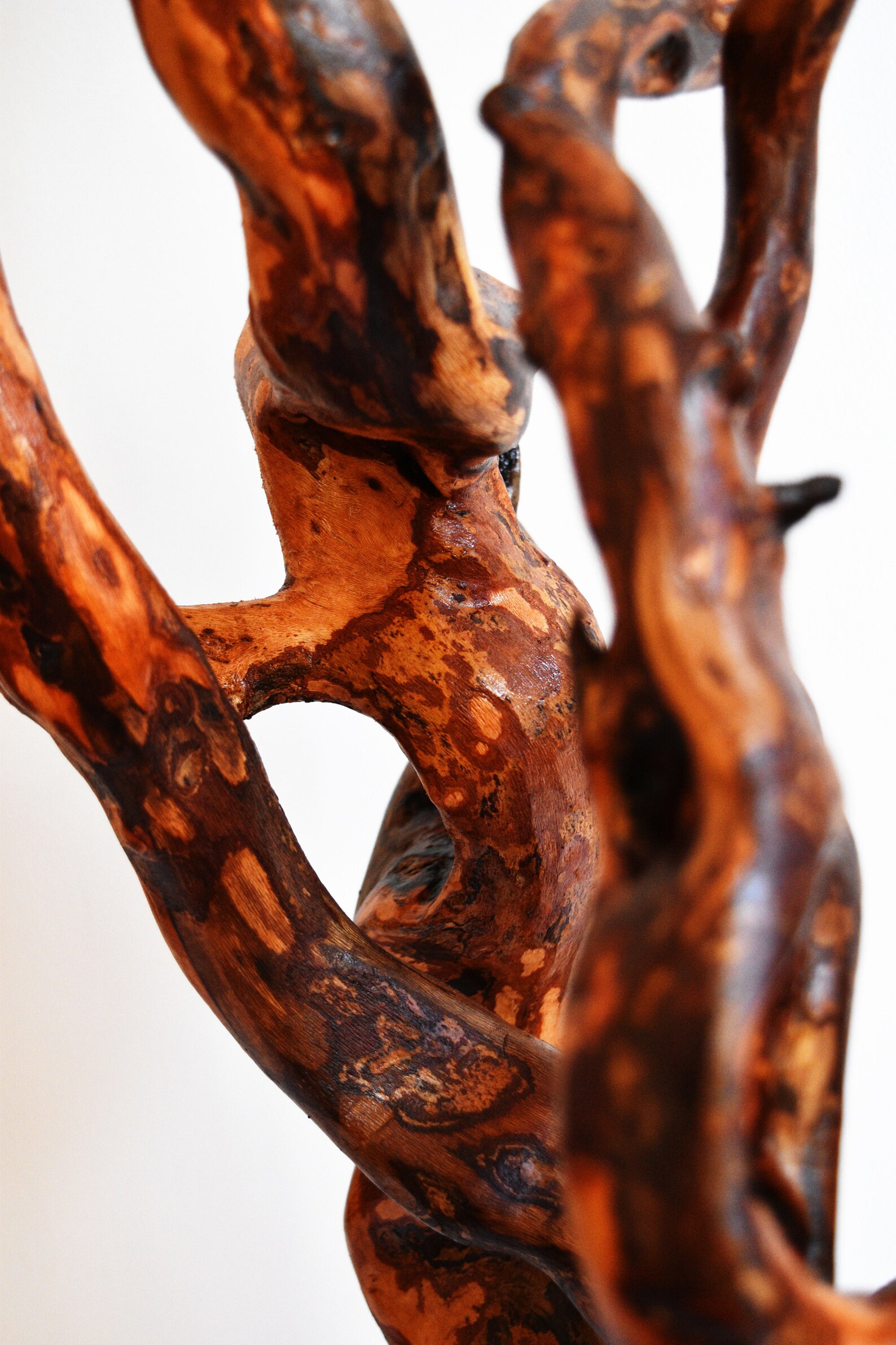 Tree Root Sculpture Wood Sculpture Unique Root Decoration Rustic Wood ...