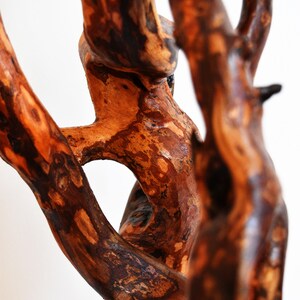 Tree Root Sculpture Wood Sculpture Unique Root Decoration Rustic Wood ...