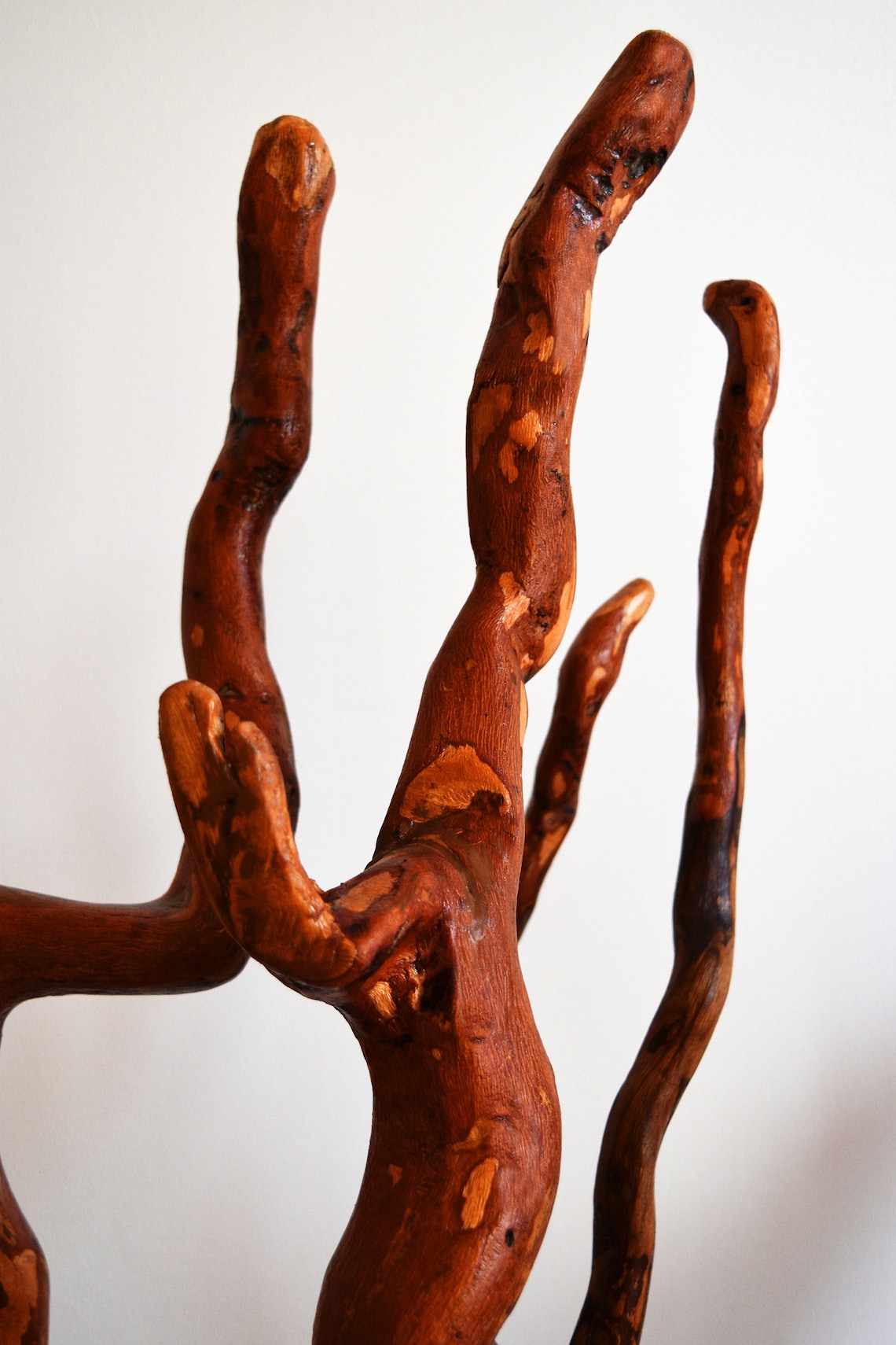 Tree Root Sculpture Wood Sculpture Unique Root Decoration Rustic Wood ...