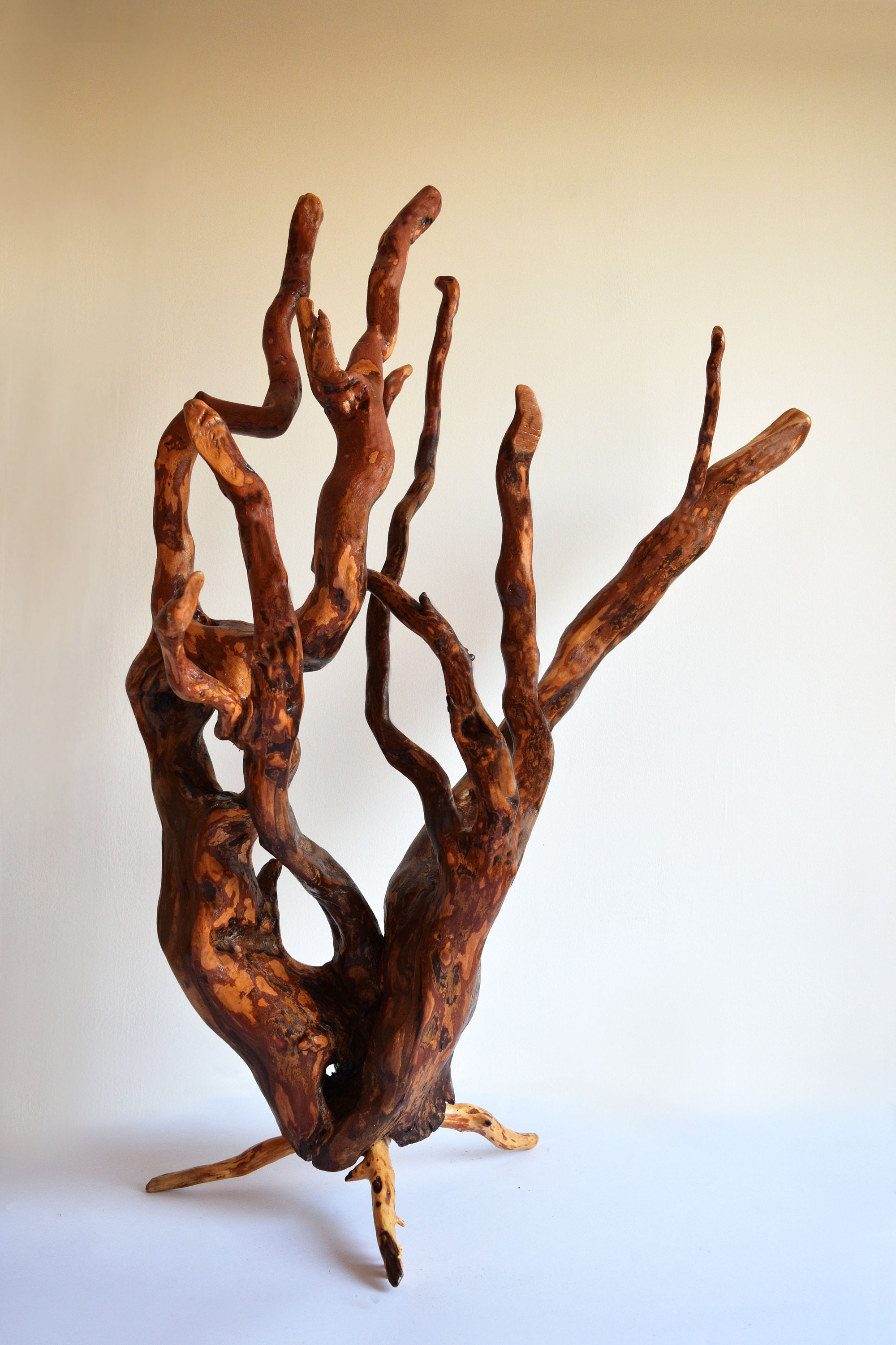 Tree Root Sculpture Wood Sculpture Unique Root Decoration Rustic Wood ...