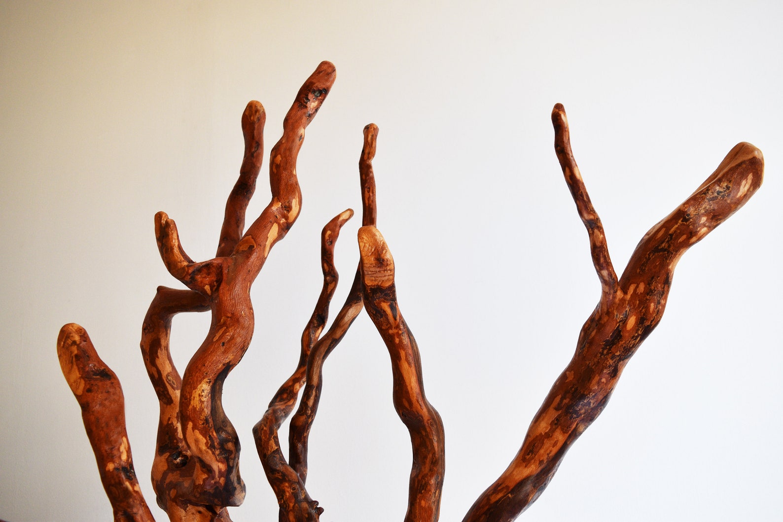 Tree Root Sculpture Wood Sculpture Unique Root Decoration Rustic Wood ...