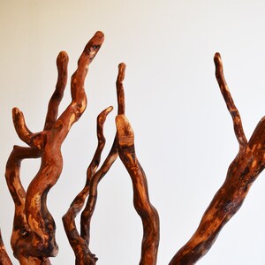 Tree Root Sculpture Wood Sculpture Unique Root Decoration Rustic Wood ...