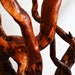 Tree Root Sculpture Wood Sculpture Unique Root Decoration Rustic Wood ...