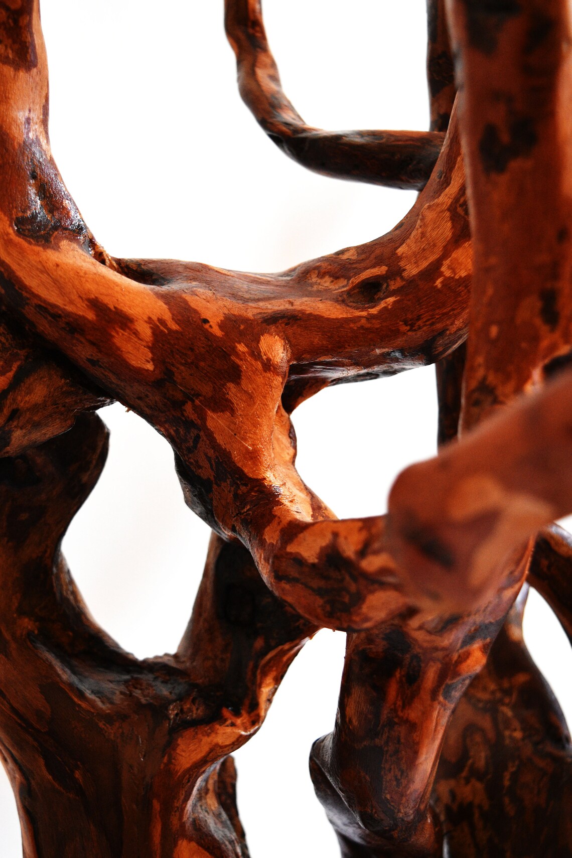 Tree Root Sculpture Wood Sculpture Unique Root Decoration Rustic Wood ...