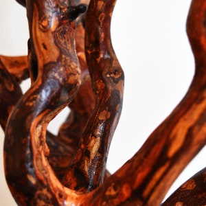 Tree Root Sculpture Wood Sculpture Unique Root Decoration Rustic Wood ...