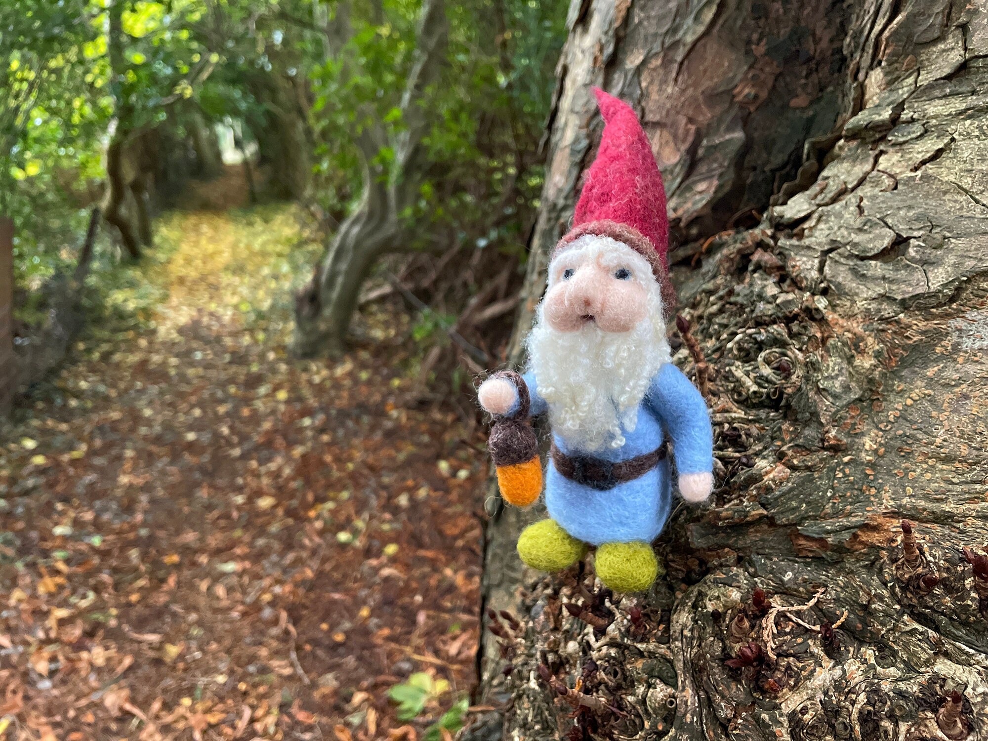 Needle Felted Wool Gnome Woodland Gnome - Etsy