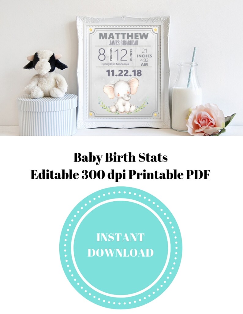 Personalized Birth Stats, Birth Announcement Wall Print, Editable Stats ...