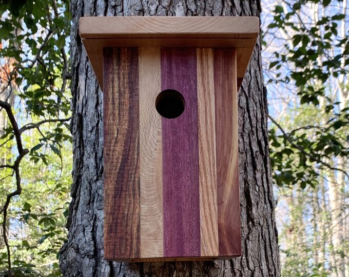 Rustic Modern Mid-century Fully Functional Handmade Cedar Wren Nesting ...