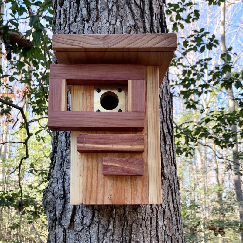 Functional Birdhouse - Etsy