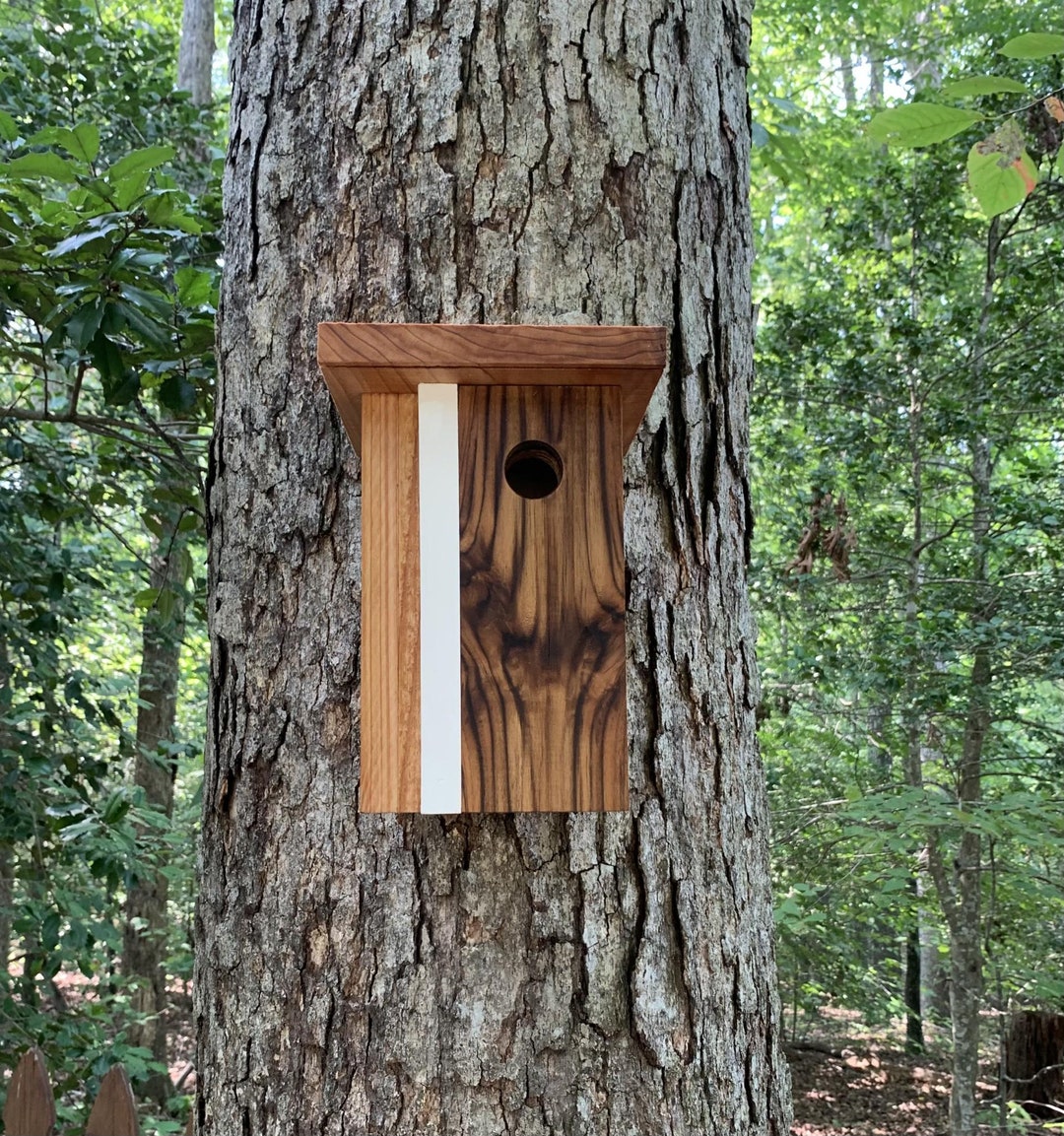 Handmade Rustic Modern Artistic Birdhouse, Minimalist Cedar Bird ...