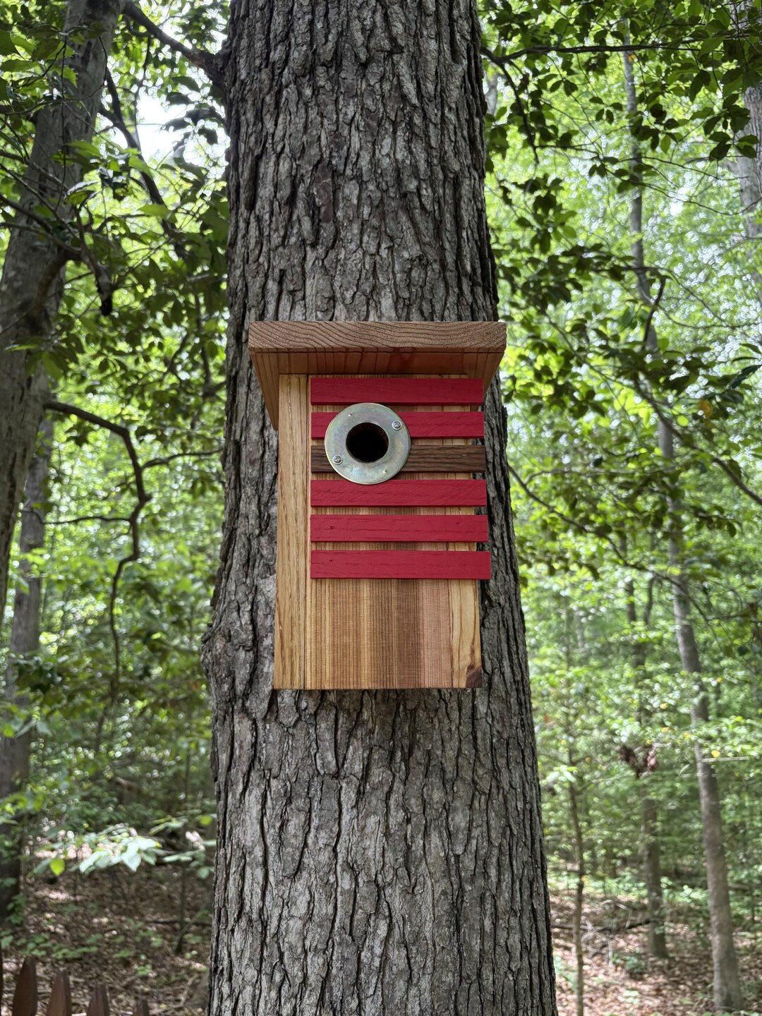 Handmade Rustic Modern Wooden Bird Box, Cedar With Walnut and Oak Slats ...