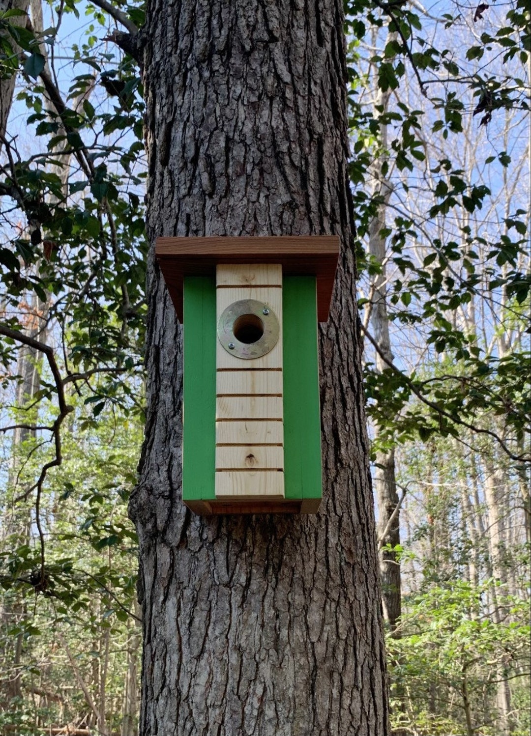 Handmade Rustic Modern Artistic Birdhouse, Modern Minimalist Cedar Bird ...