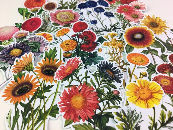 Vibrant Fall Sticker Set paper 773 - Etsy