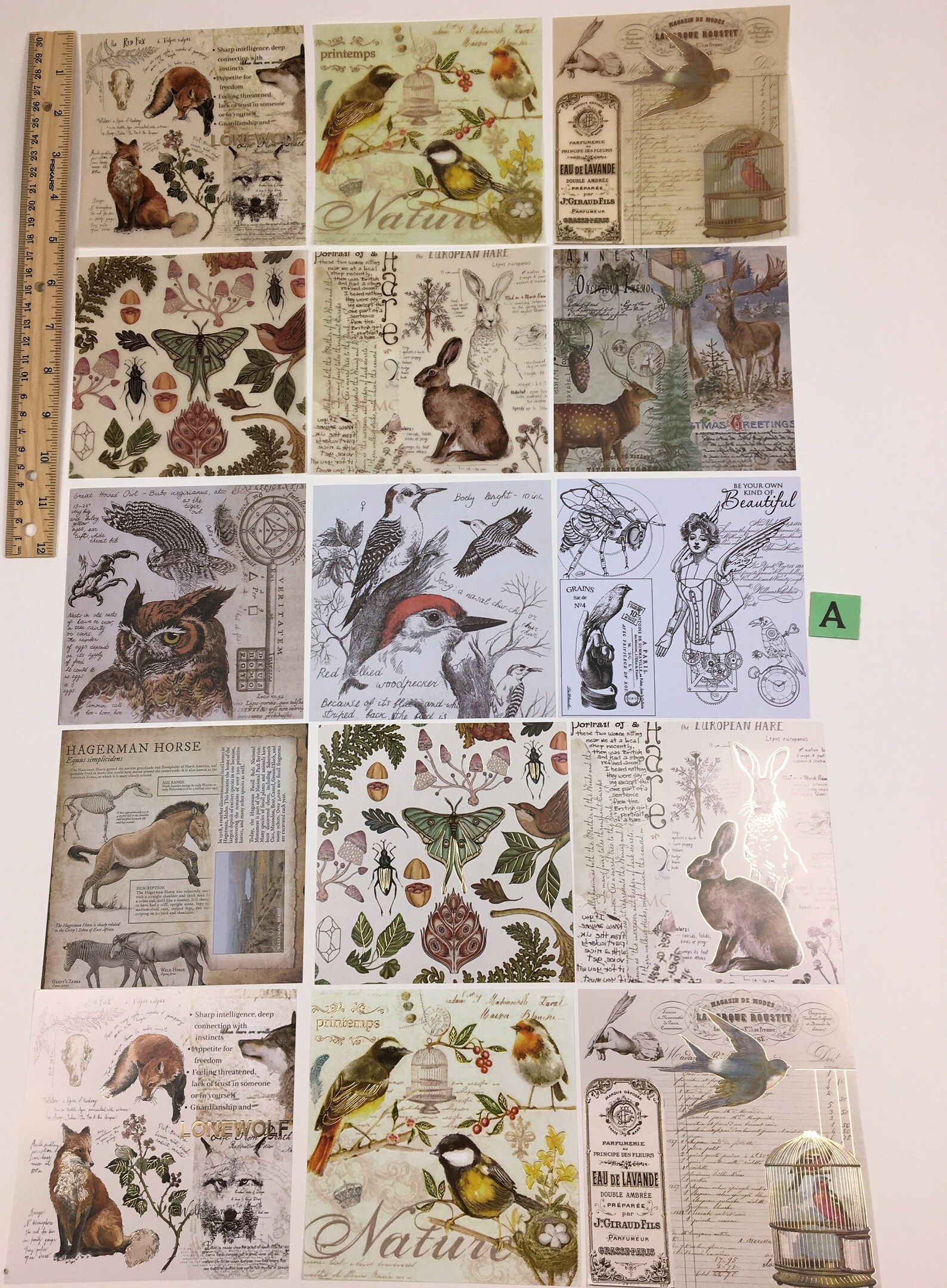 5 Vellum Paper & Sticker Sets - Etsy