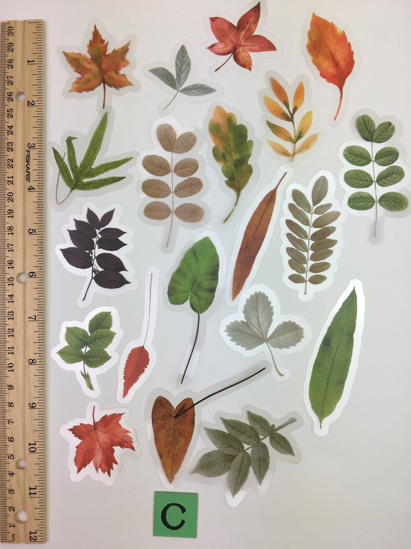 Fall Stickers Transparent | Etsy