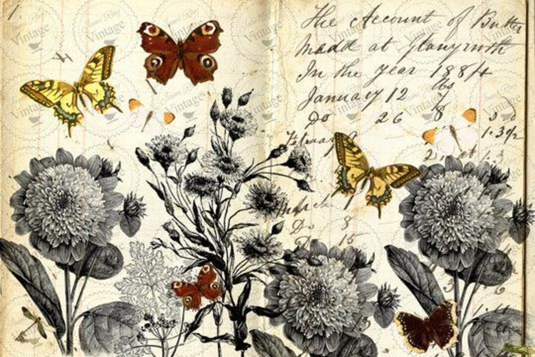 Monochrimatic Decoupage Paper by JRV ~ 20x30 18# Paper - Etsy