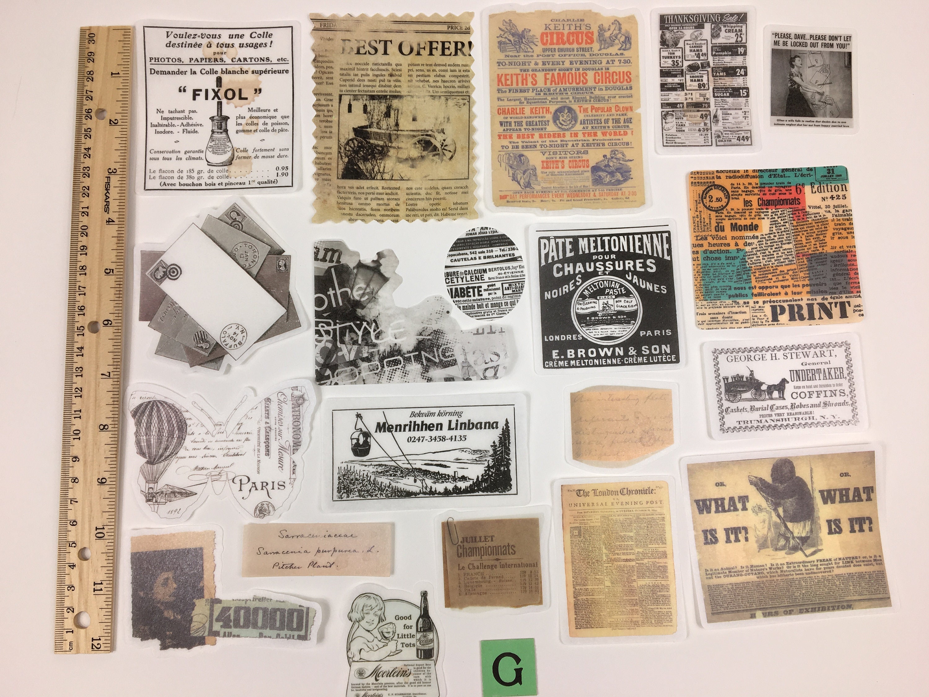 Embellishment Stickers Butterflies Mushrooms & More Oh My - Etsy