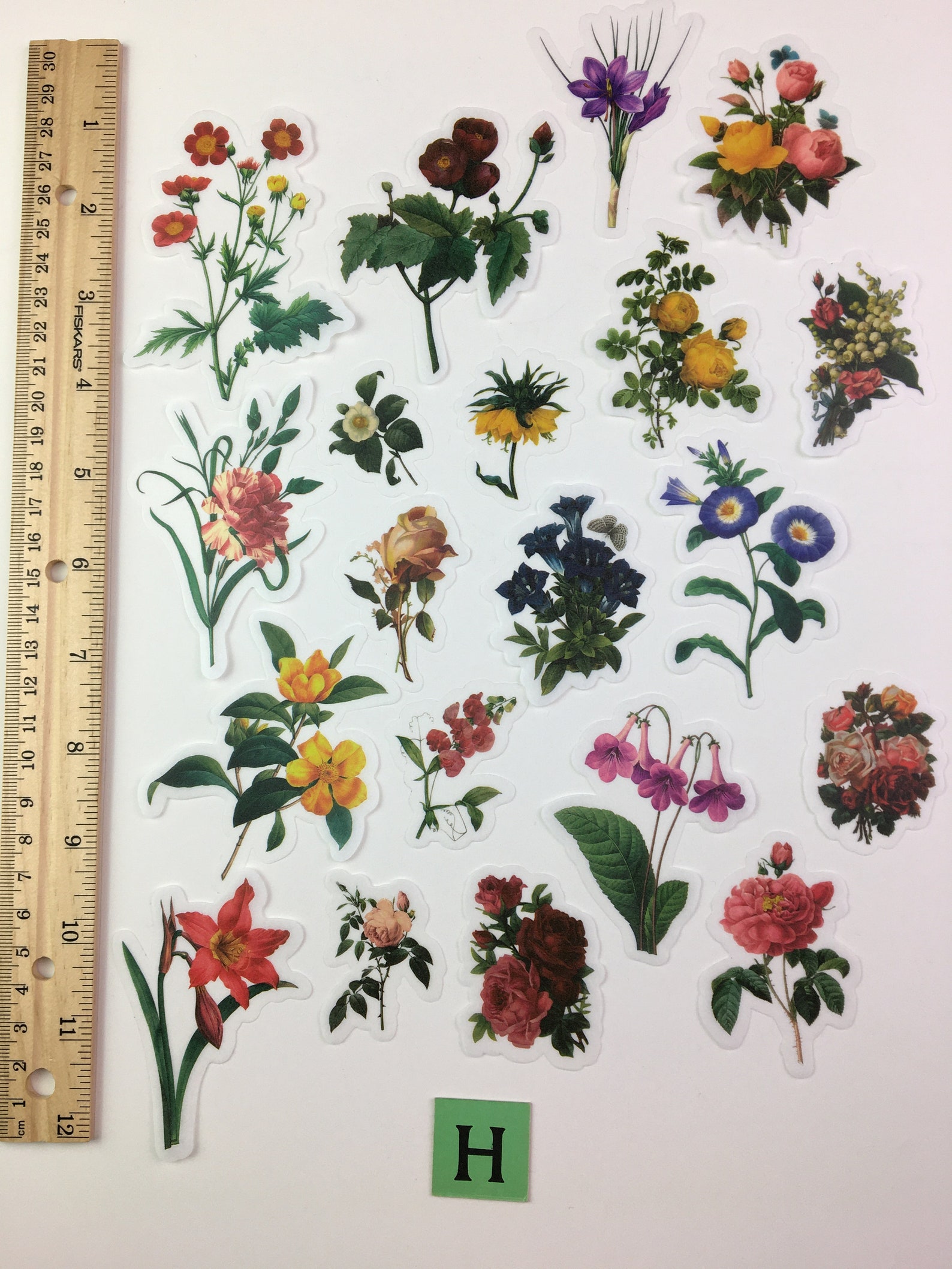 Embellishment Stickers Botanical's | Etsy