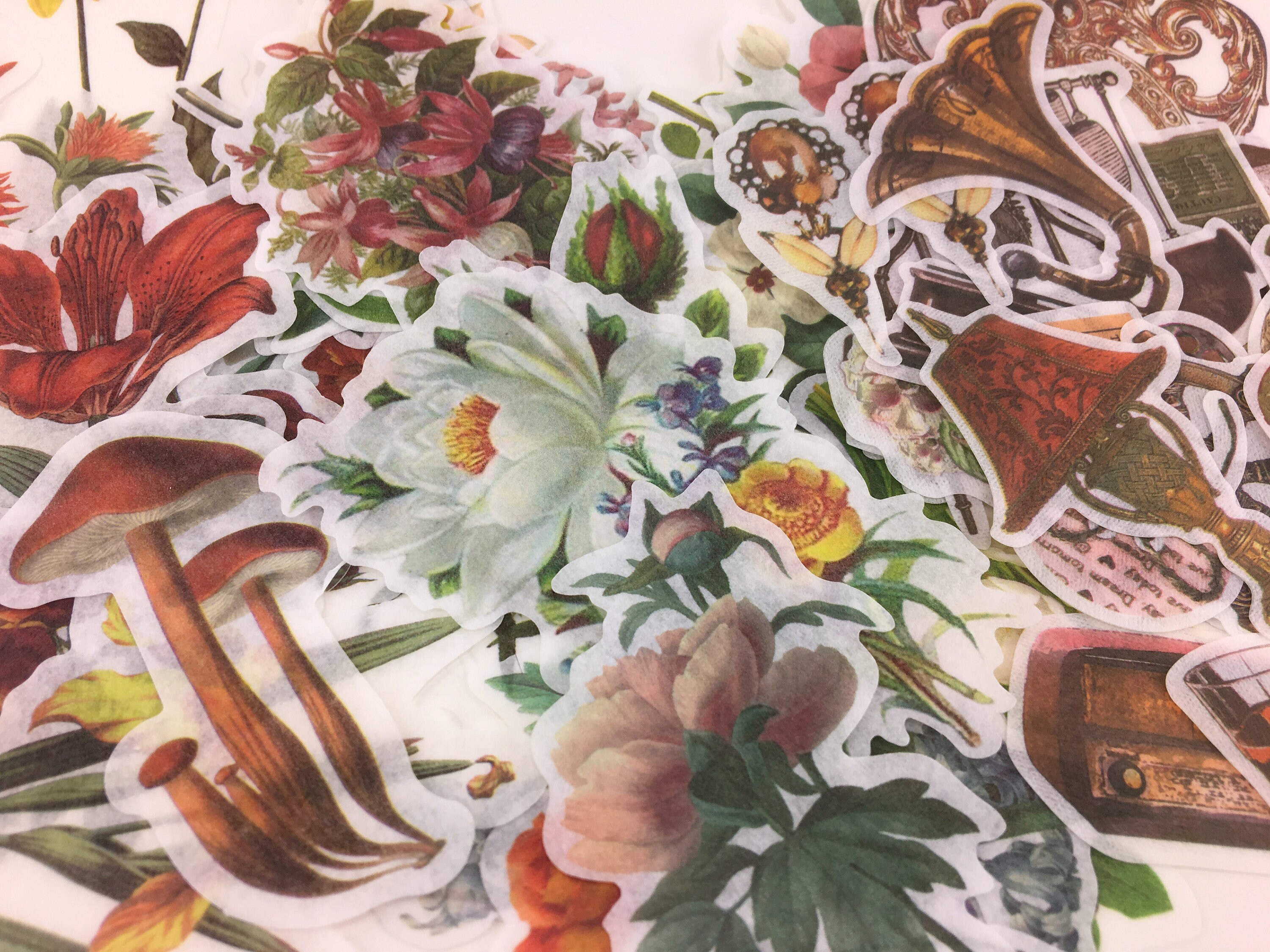 Embellishment Stickers Botanical's - Etsy