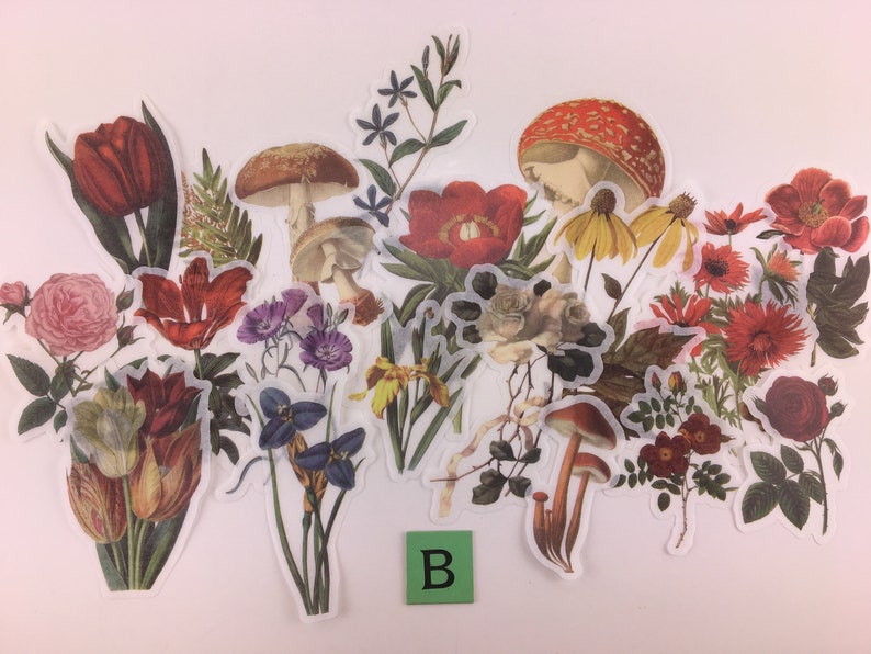 Embellishment Stickers Botanical's & Vintage Items | Etsy