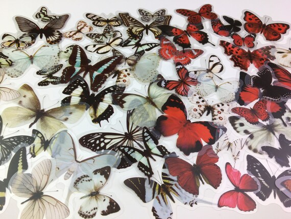 Butterfly Stickers transparent 631 | Etsy