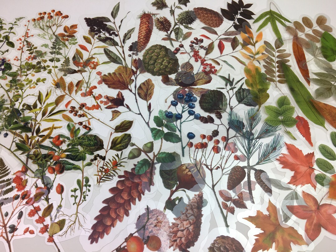 Fall Stickers Transparent - Etsy