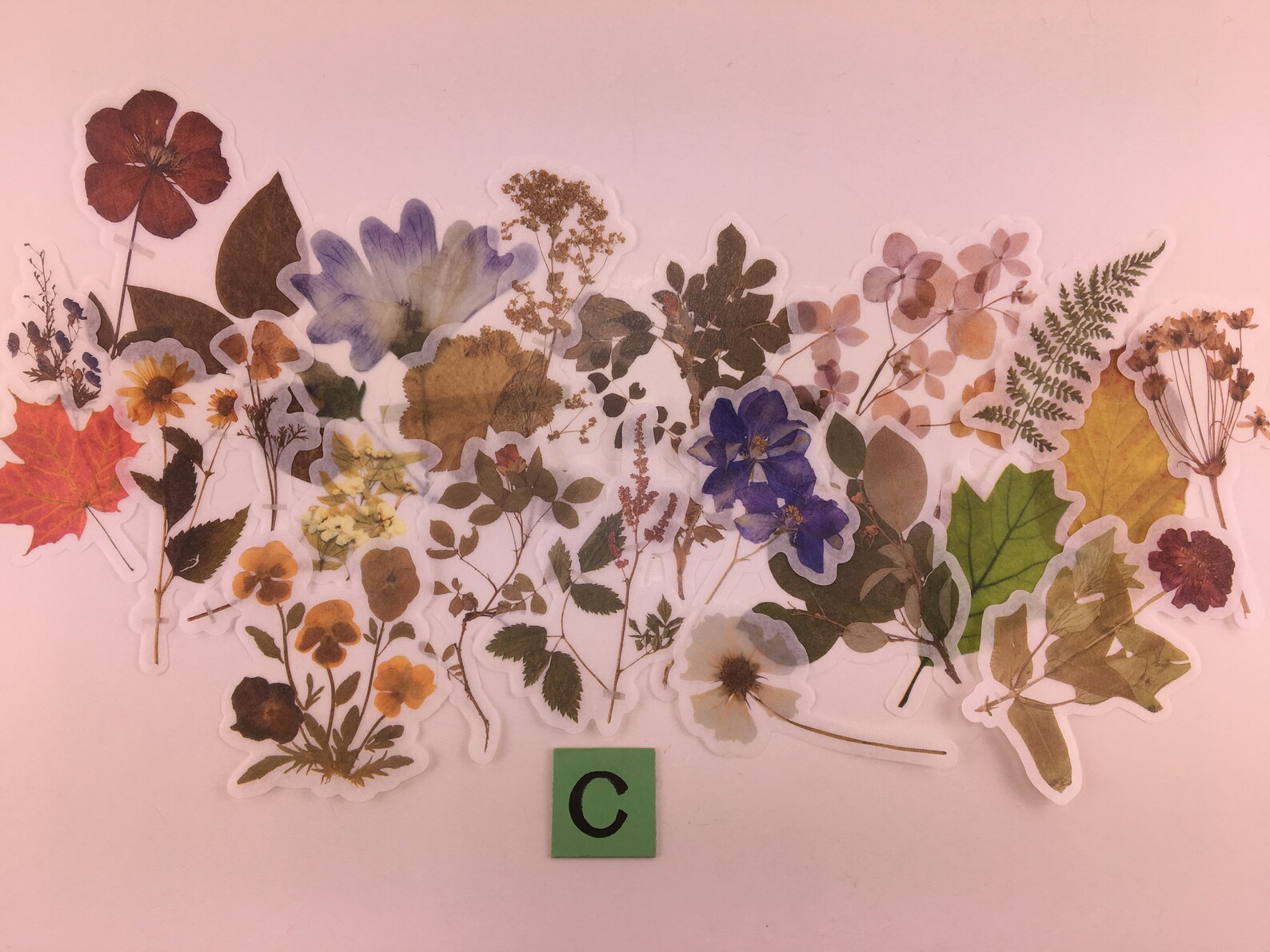 Embellishment Stickers Botanical's - Etsy