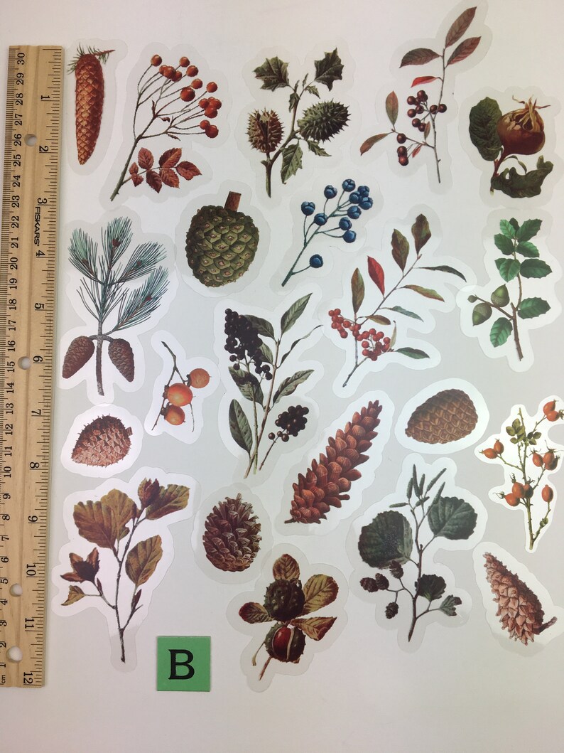 Fall Stickers Transparent - Etsy