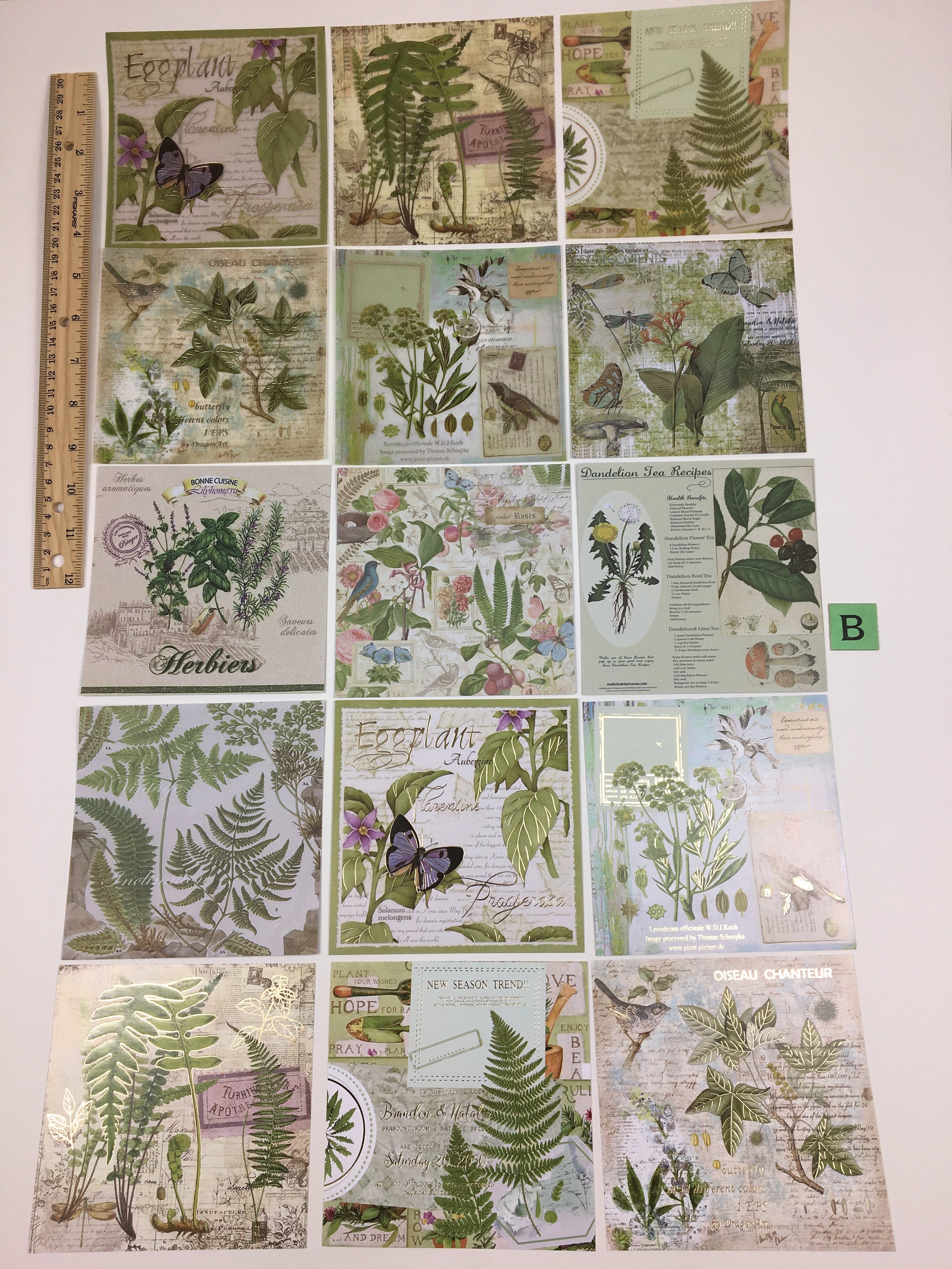 5 Vellum Paper & Sticker Sets - Etsy