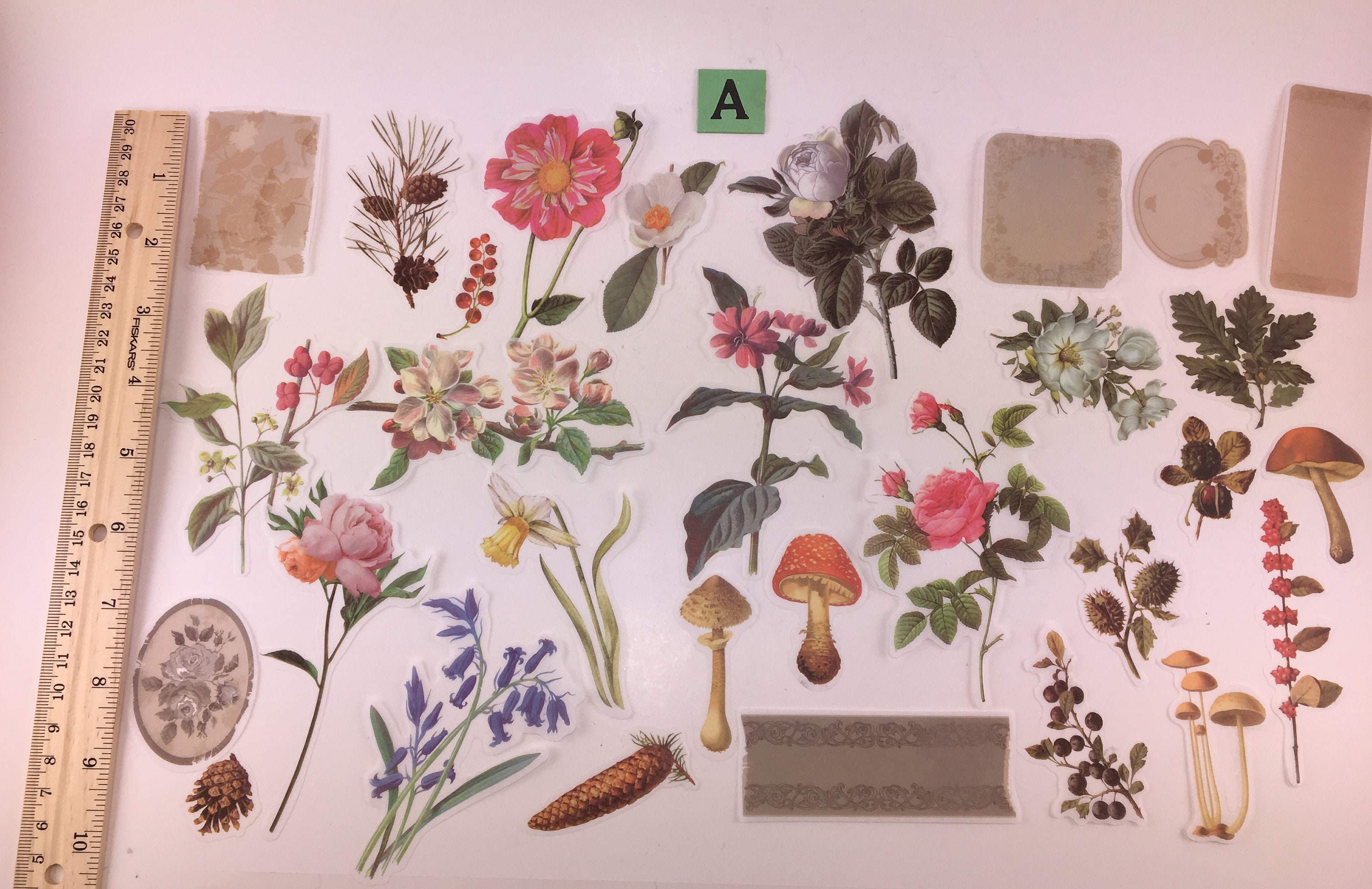 Embellishment Stickers Butterflies Mushrooms & More Oh My | Etsy