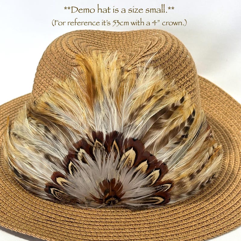 Feather Hat Band - Etsy