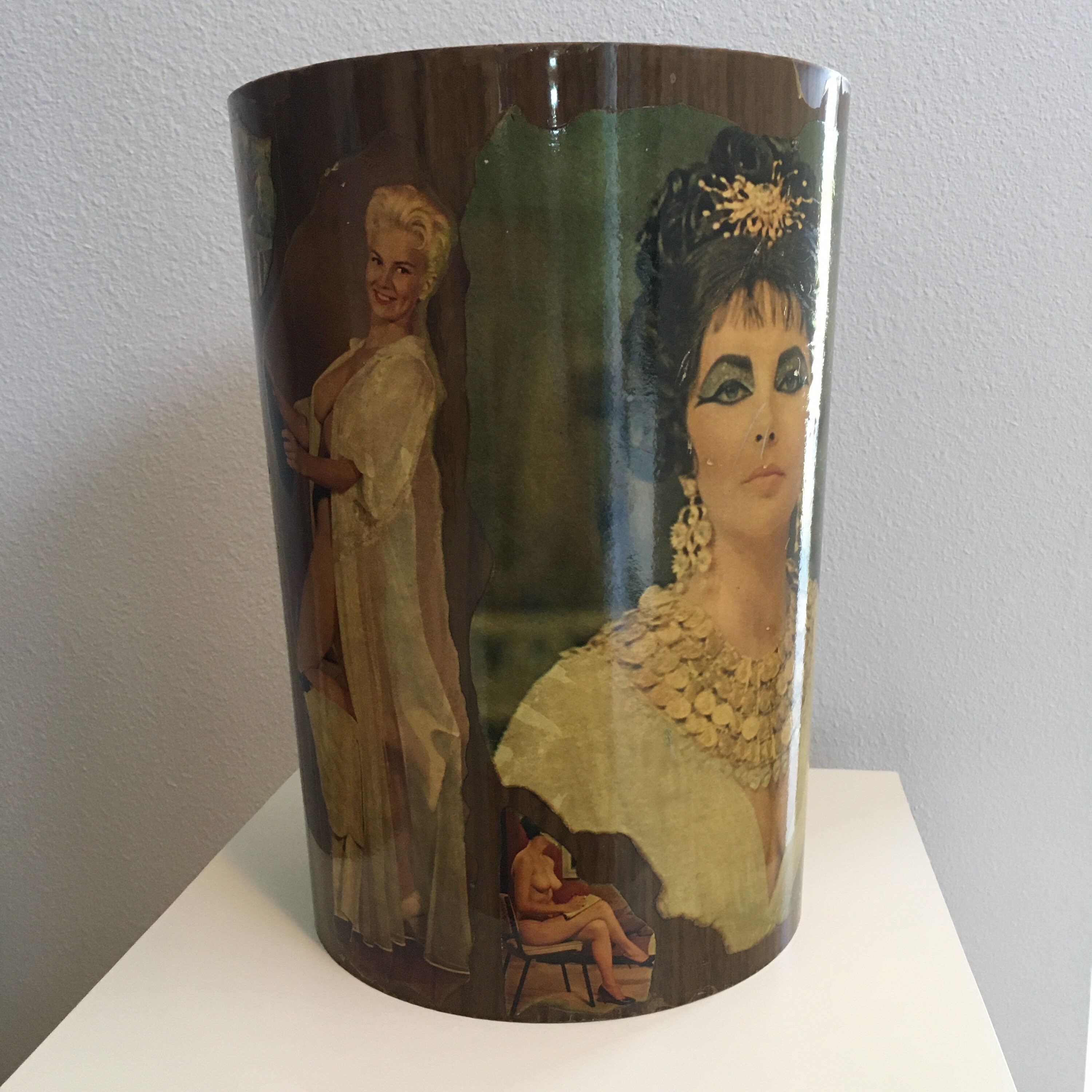 Liz Marilyn Janet Pilgrim Christa Spec & Several Other Nudes Waste Can ...