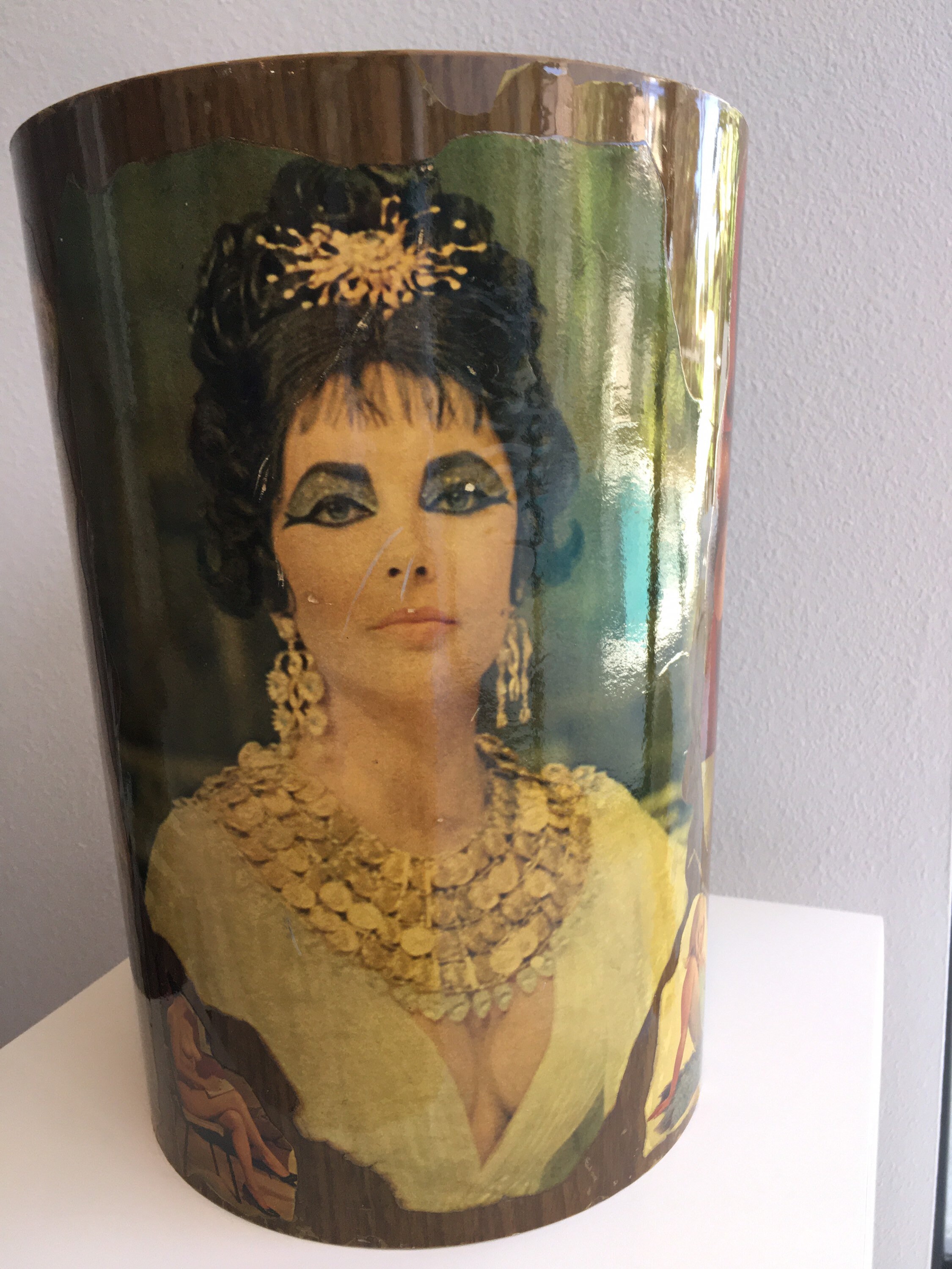 Liz Marilyn Janet Pilgrim Christa Spec & Several Other Nudes Waste Can ...