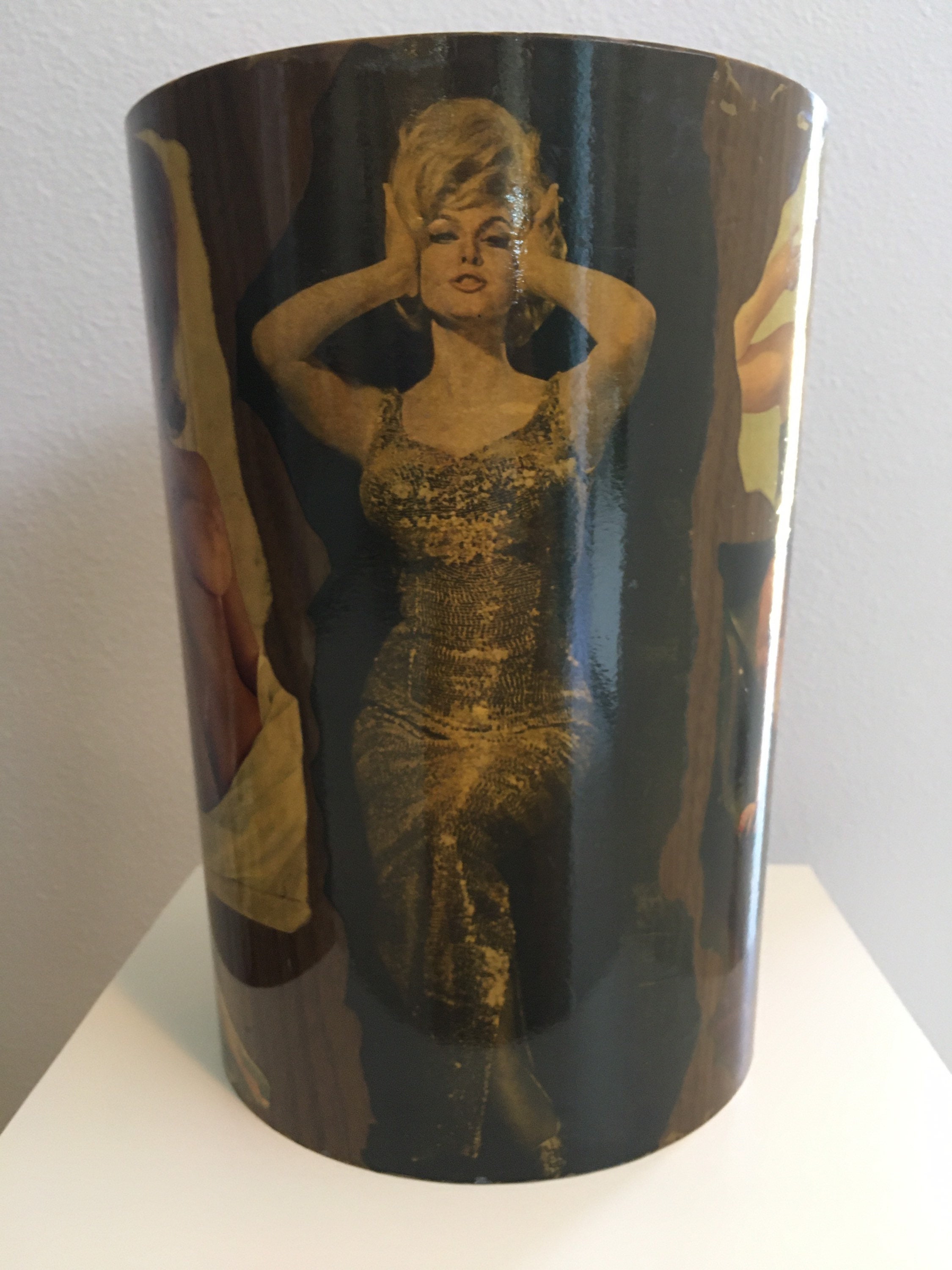 Liz Marilyn Janet Pilgrim Christa Spec & Several Other Nudes Waste Can ...