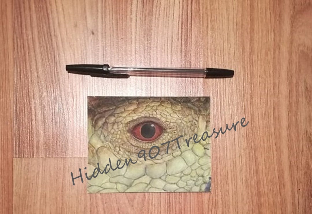 Original Reptile Eye Painting Crocodile, Alligator, Lizard, Dinosaur ...