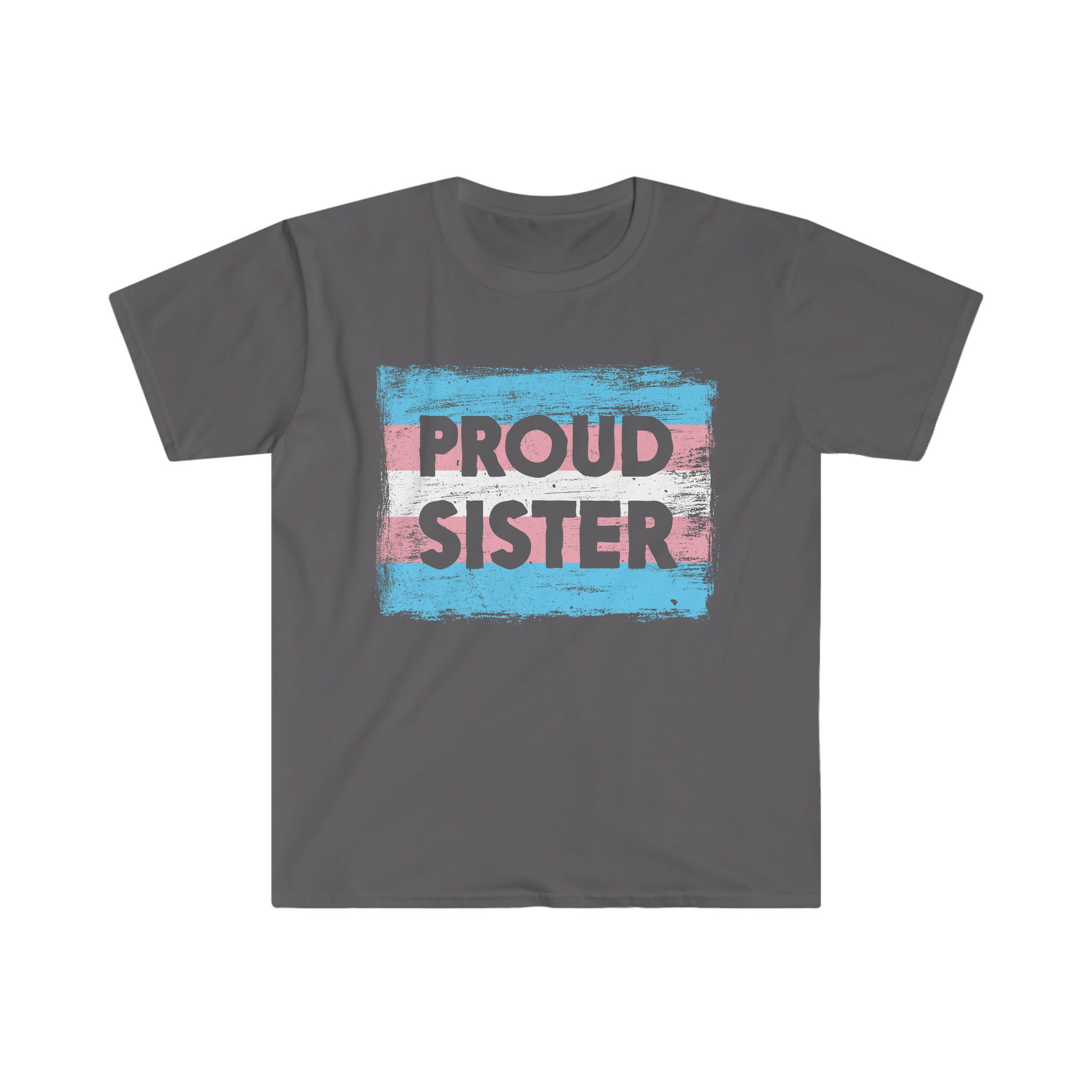 PROUD SISTER Transgender Pride Flag - Vintage Paint Style - Protect ...