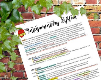 The Integumentary System Study Guide, Anatomy and Physiology, Notes for ...