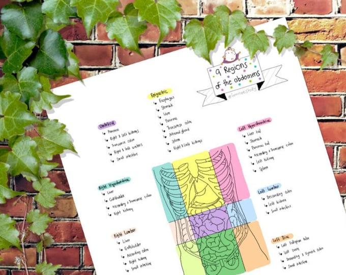 Quadrants of the Abdomen Cheat Sheet - Etsy Quadrants of the Abdomen Cheat Sheet - Etsy