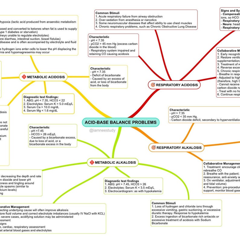 Med Surg : Acid-base Balance Problems - Etsy