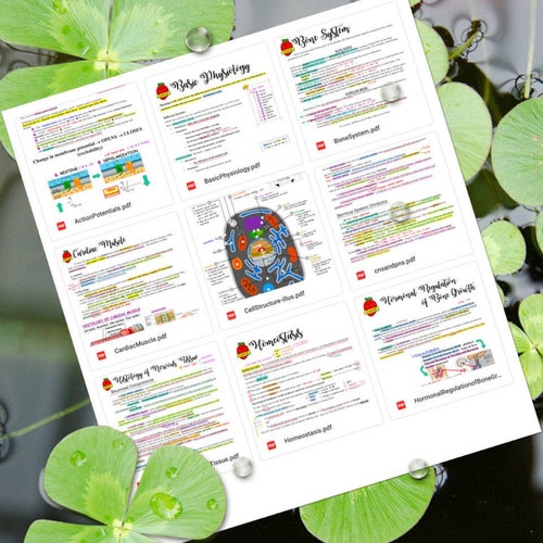 Bundle Anatomy and Physiology set 01 - Etsy