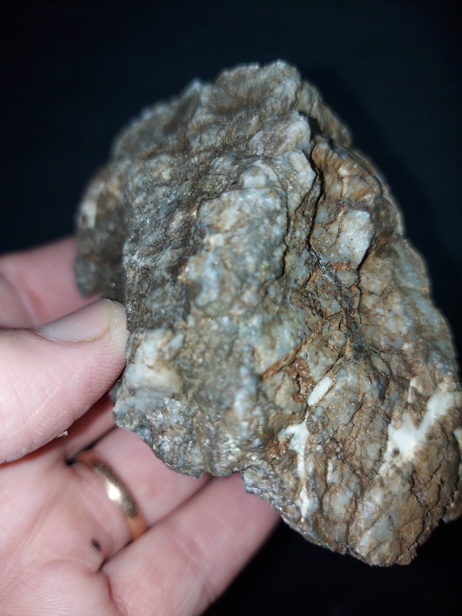 Gold, Silver, and Copper Bearing Ore Sample - 459 Grams - Etsy