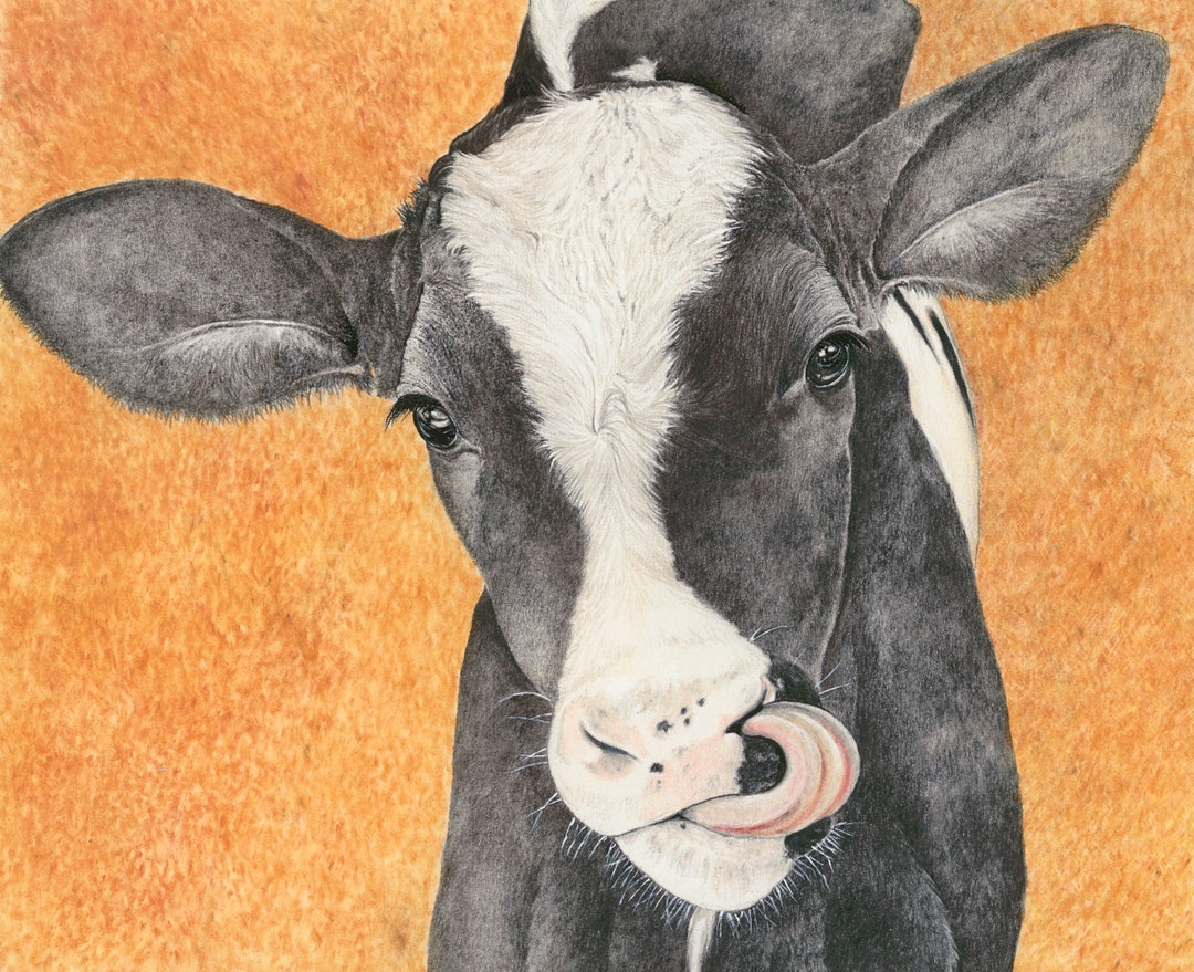 Stephen Houser Cow Colored Pencil Colored Chalk - Etsy