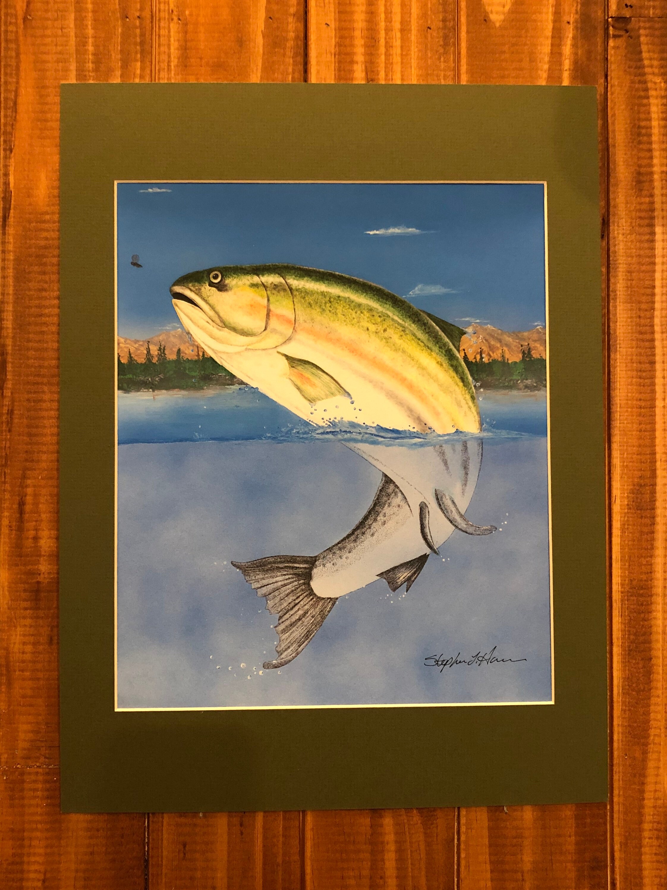 Fish Rainbow Trout Gilly Wild Life - Etsy