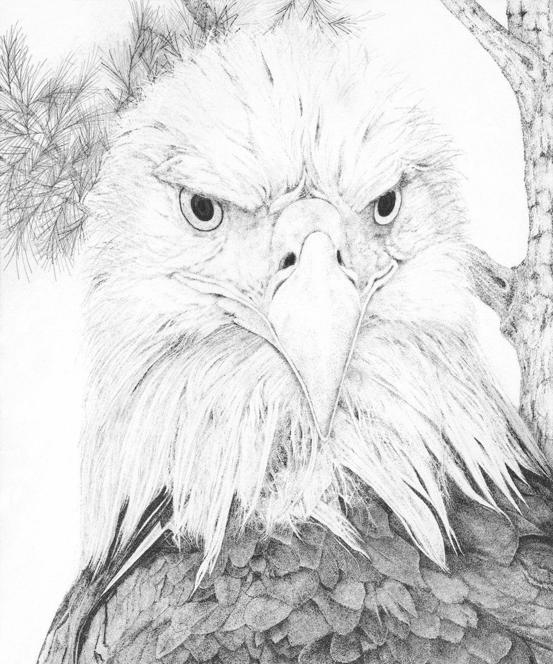 Eagle Pointillism Pen and Ink Portrait Wild Life - Etsy