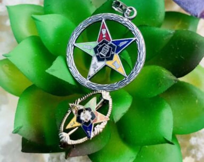 Vintage Order of the Eastern Star 10k Gold Pin + Sterling Silver Enamel ...