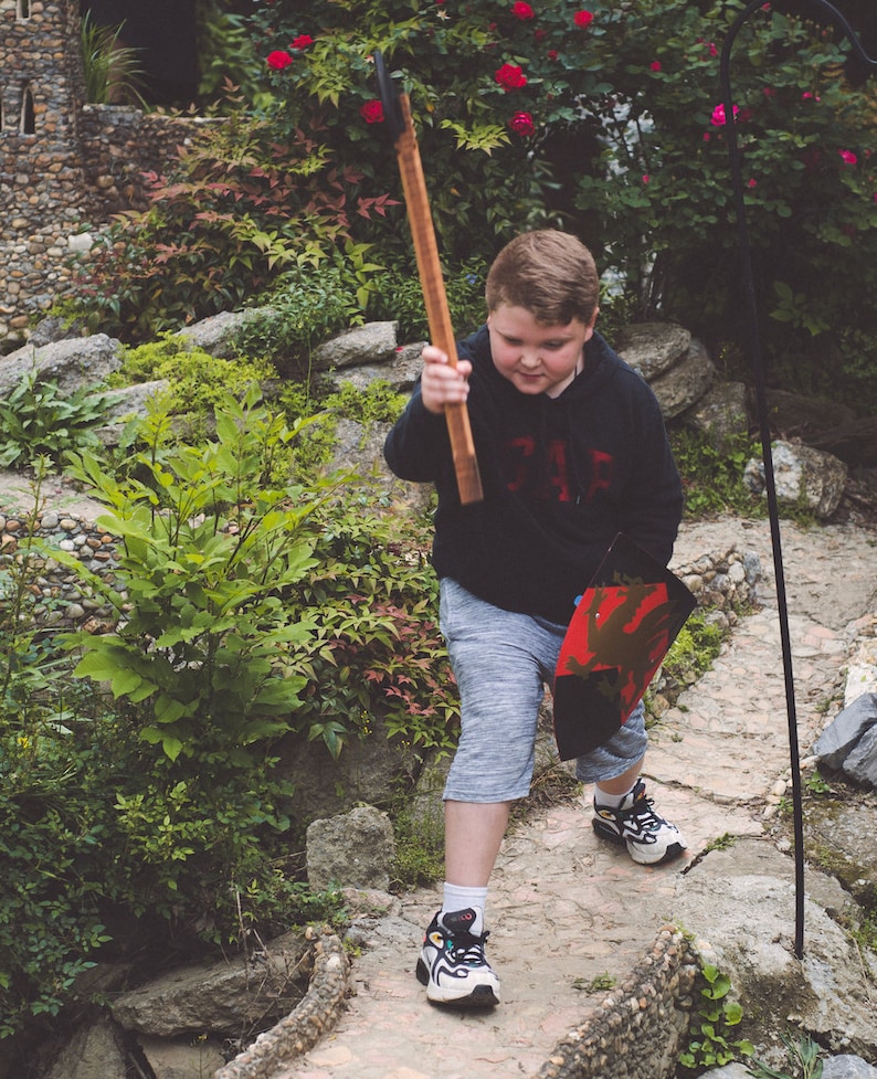 Battle Axe Wooden Toy Children's Wooden Axe Children's Norman Axe ...