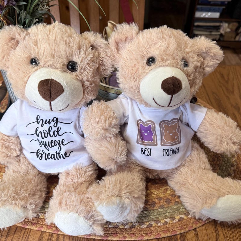 Stuffy With Custom Shirt - Etsy