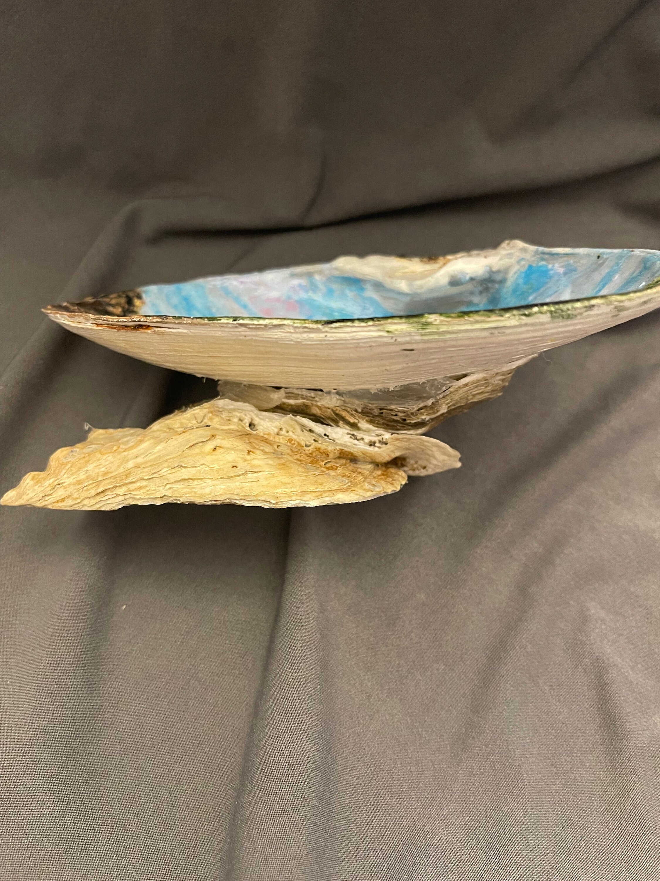 Unique, Signed Hand Painted Raised Clam Seascape With Natural Oyster ...